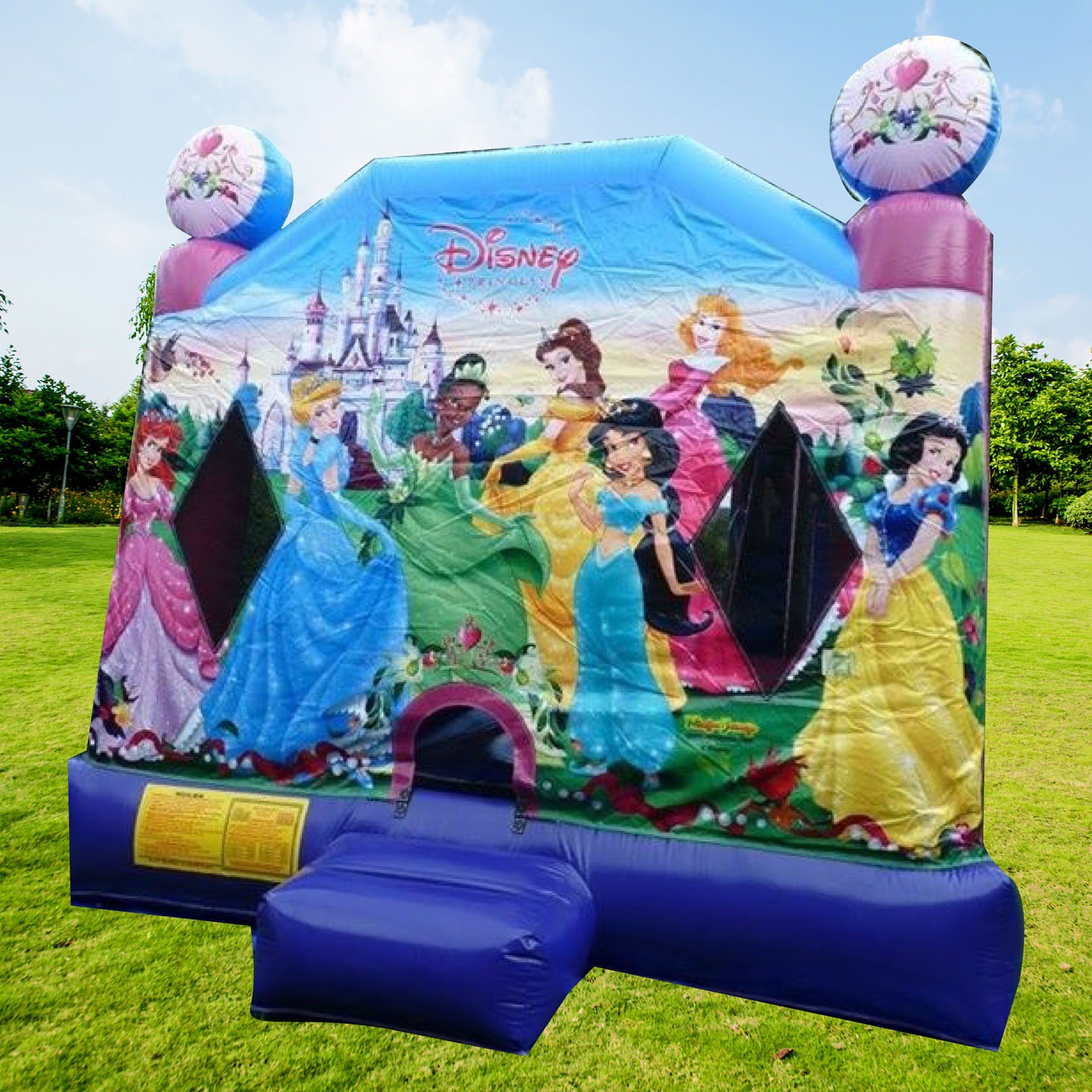 Disney Princess 2 Jumping Castle Sydney | Jumping Rascals